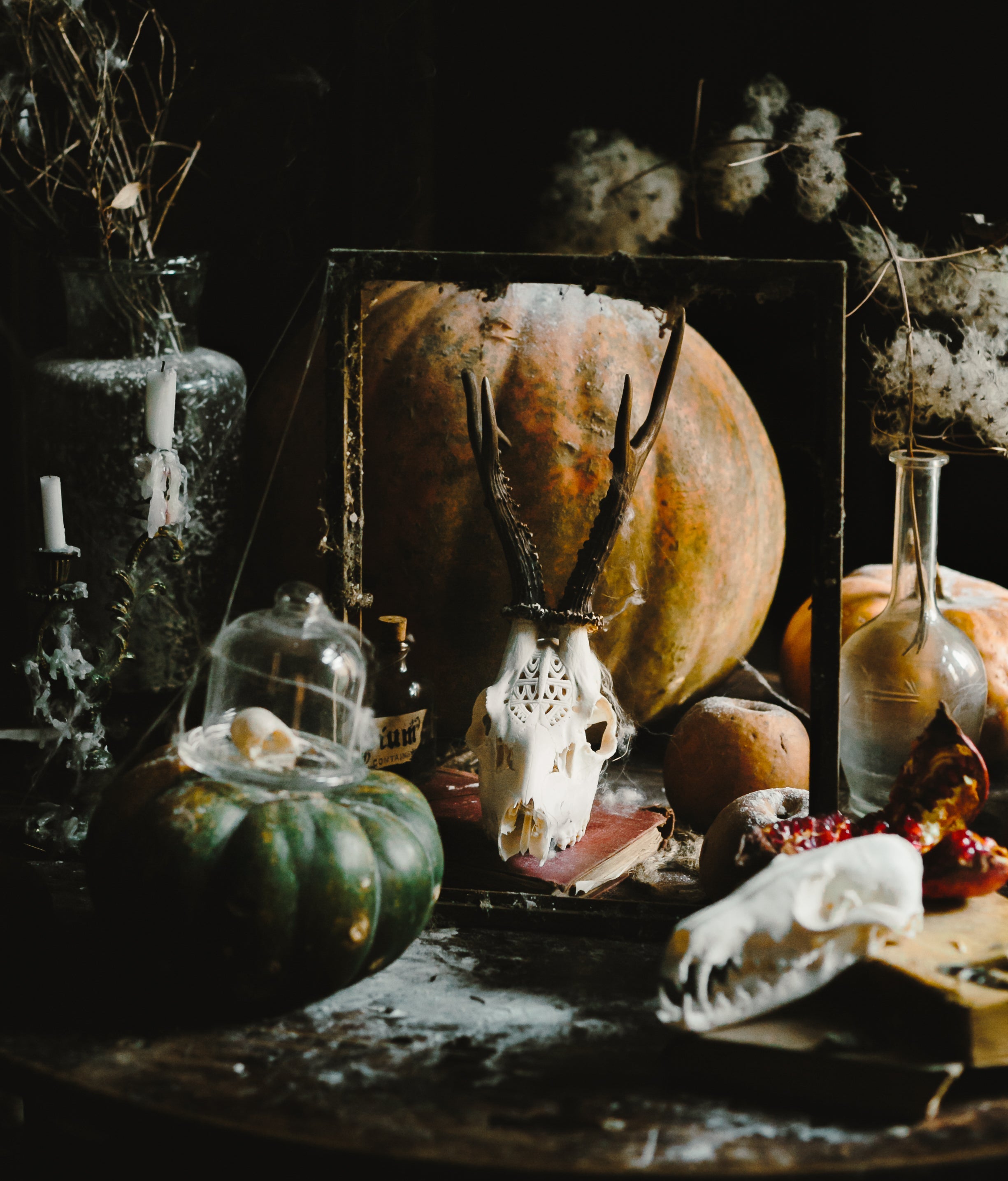 Gothic – Chaos & Luck